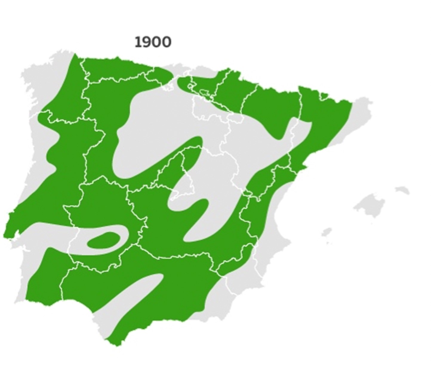 El lince ibérico: peligro y conservación – Bulletin of Advanced Spanish